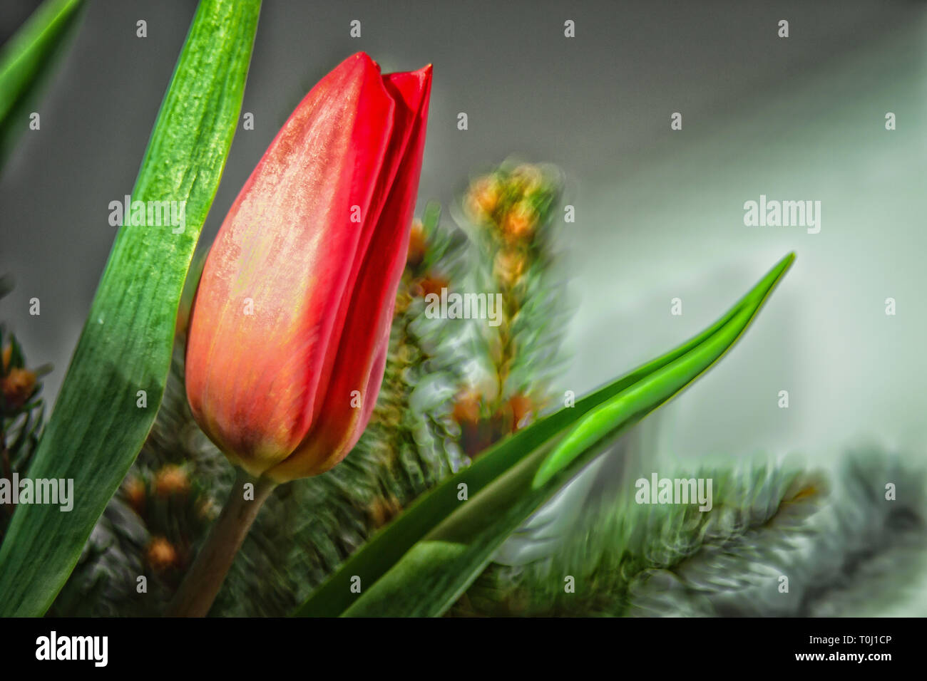 Spring colors hi-res stock photography and images - Alamy