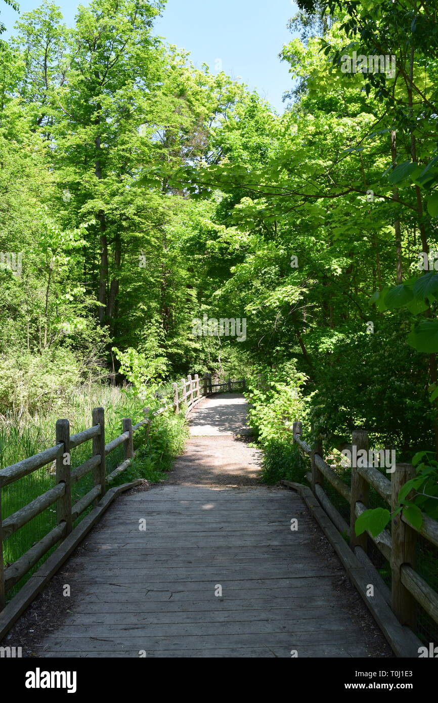 Toronto park hi-res stock photography and images - Alamy