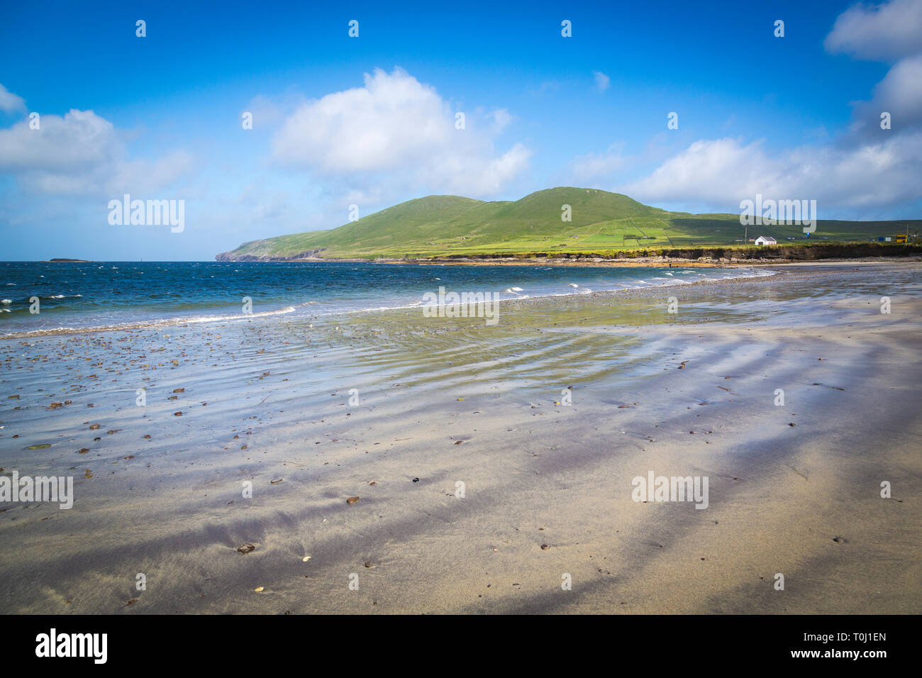 Forsight hi-res stock photography and images - Alamy