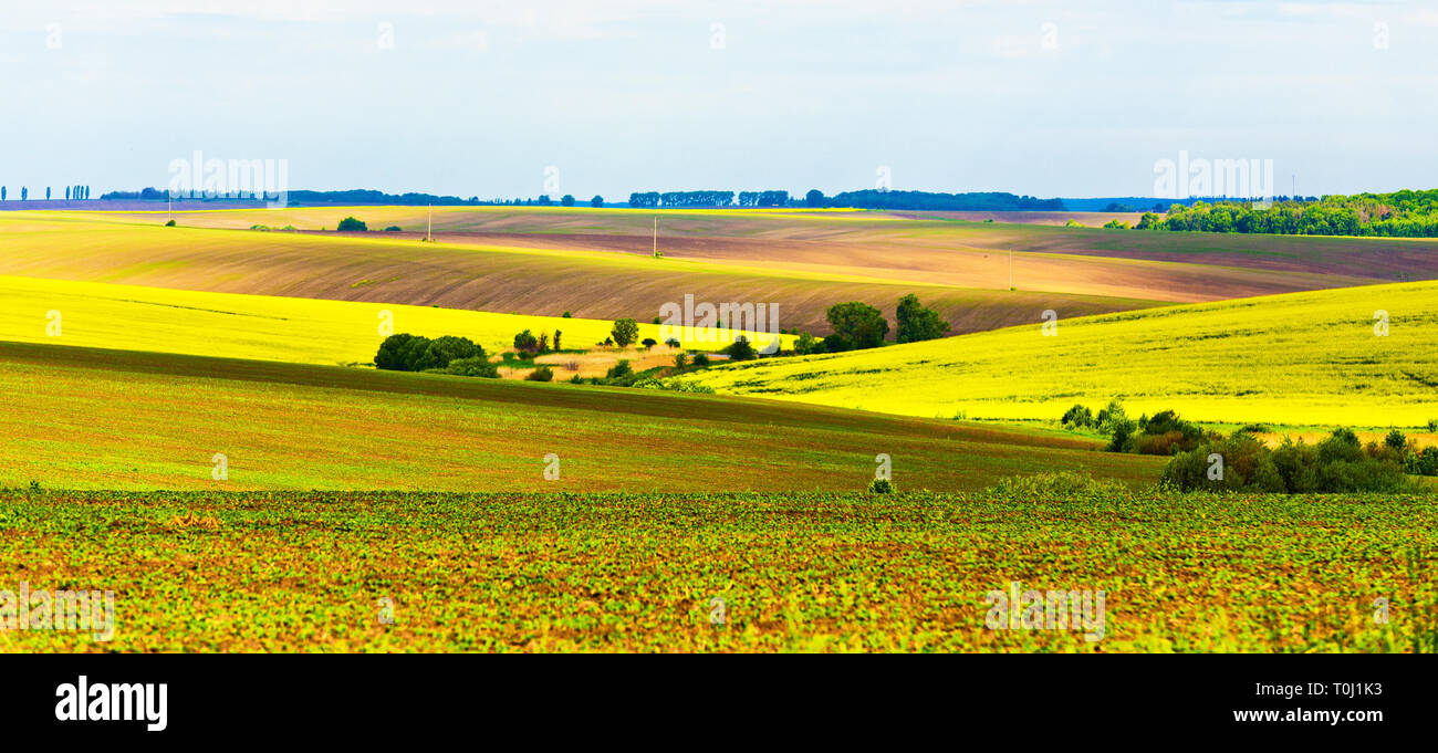 Panoramic view of rural scene. Rolling agriculture fields. Sunny day in ...