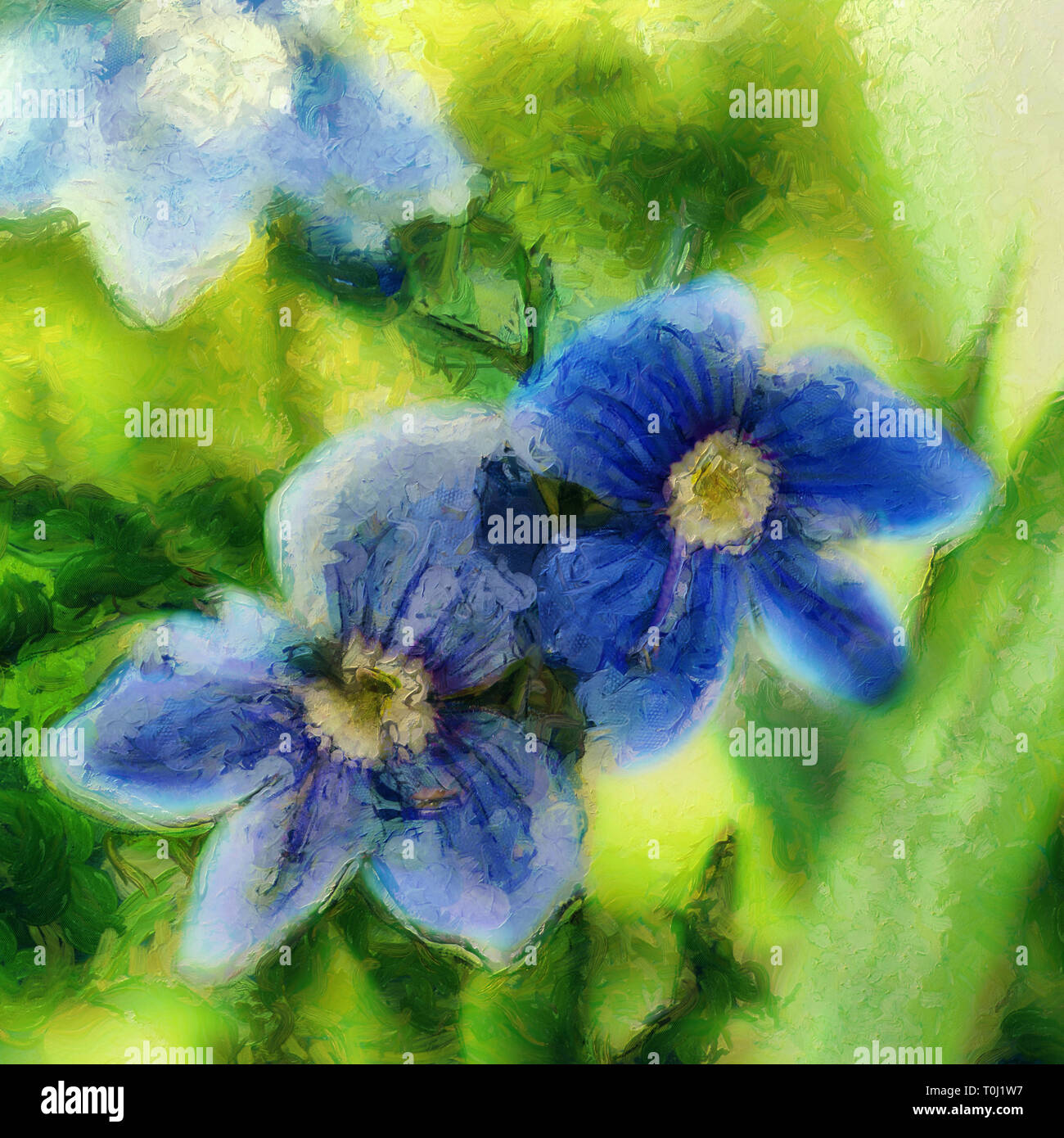 Cornflower drawing hi-res stock photography and images - Alamy