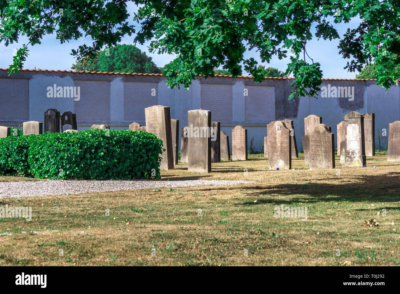 Denmark, Fredericia: Tombstones in the old Jewish cemetery in the ...