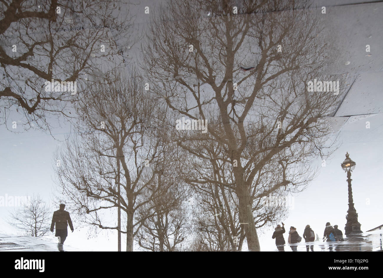 Tourists can see the grey reflections of the London Eye, trees and ...