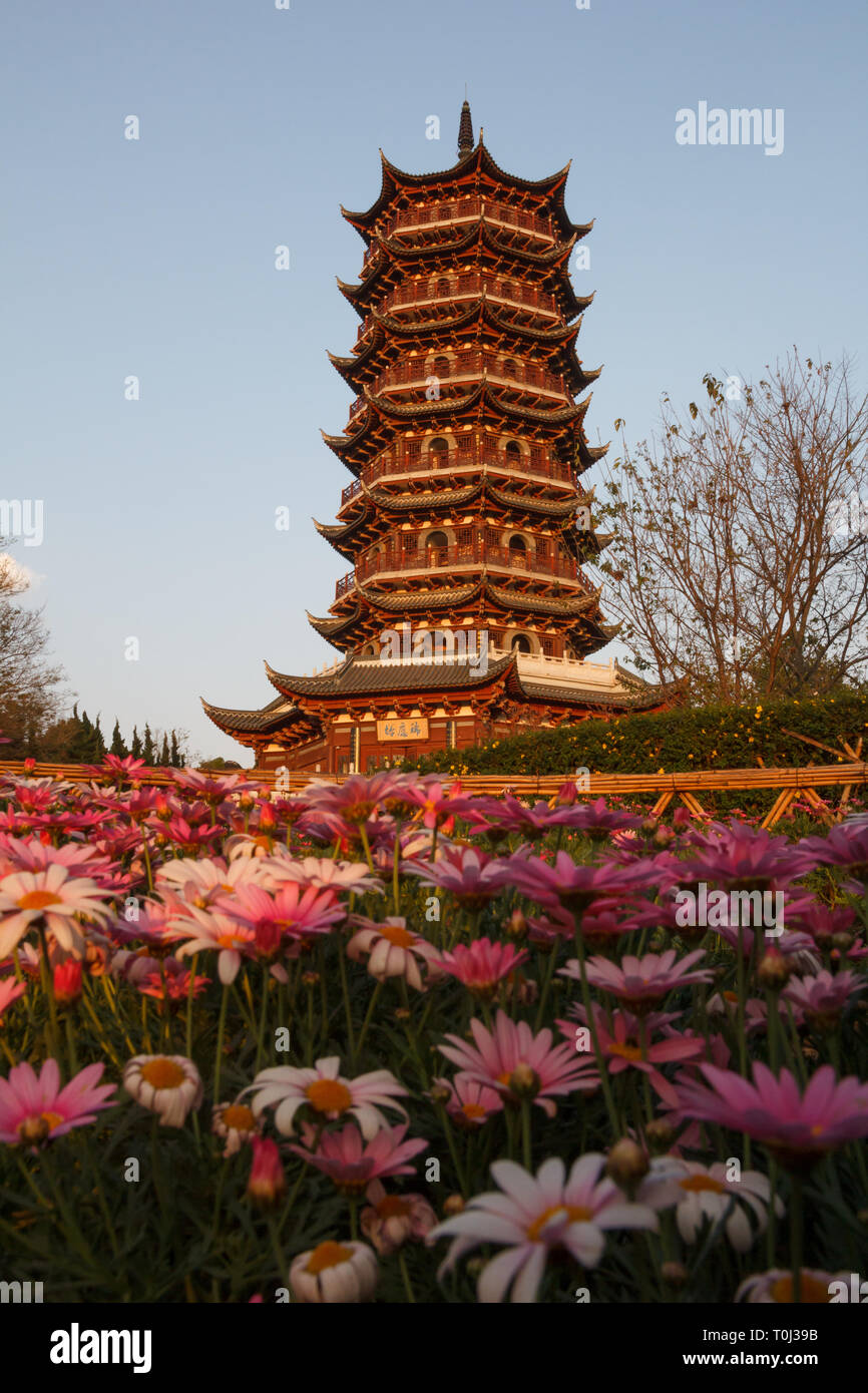 Traditional Chinese pagoda with beautiful pink flowers Stock Photo - Alamy