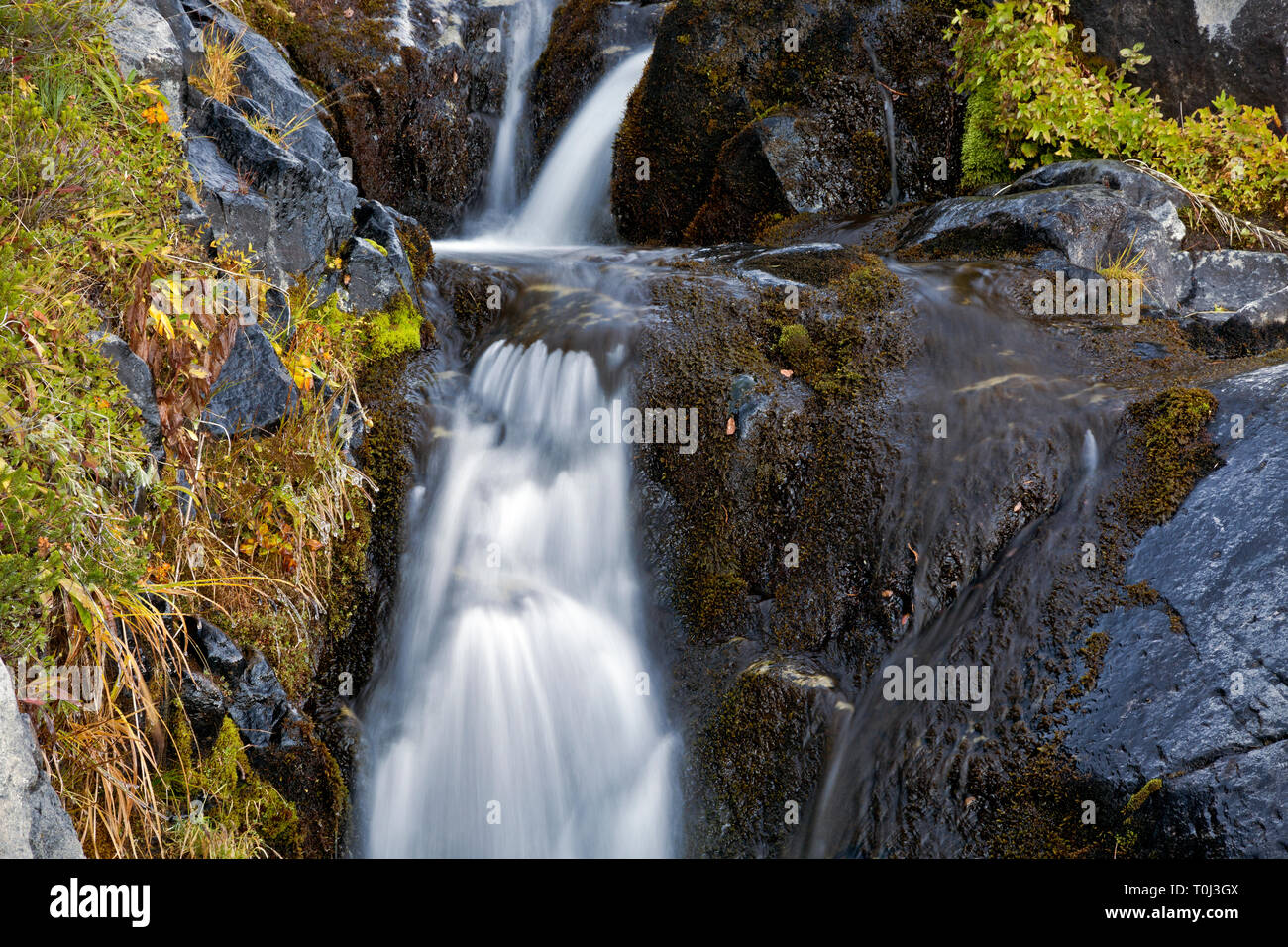 Paradise river tributary hi-res stock photography and images - Alamy