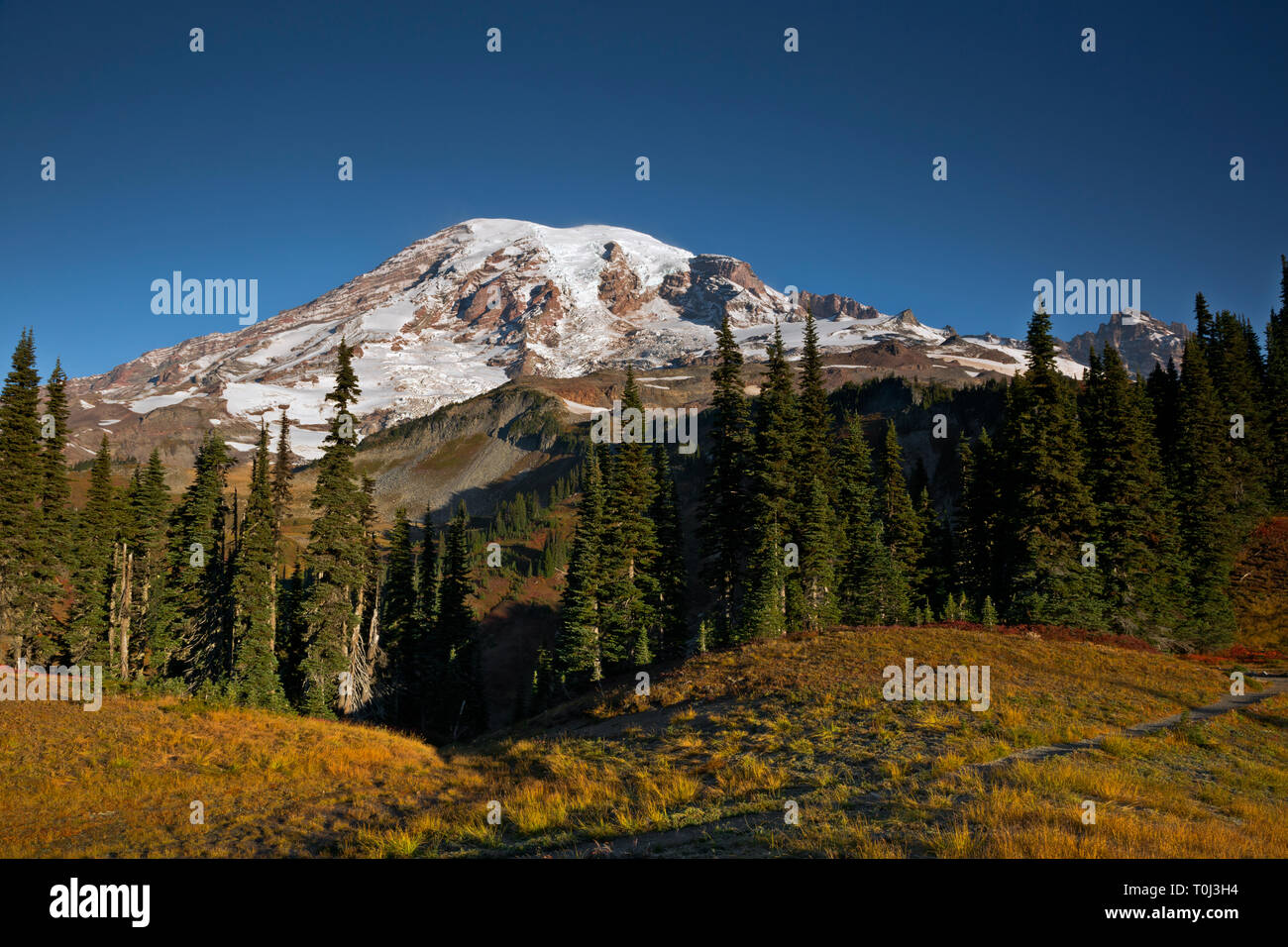 WA15992-00...WASHINGTON - Mount Rainier viewed from the Skyline Trail ...