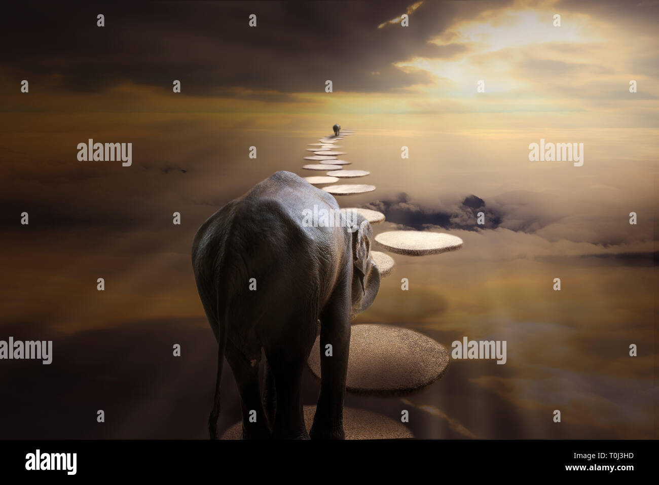 To the paradise : Elephant walk cross over the clouds Stock Photo - Alamy