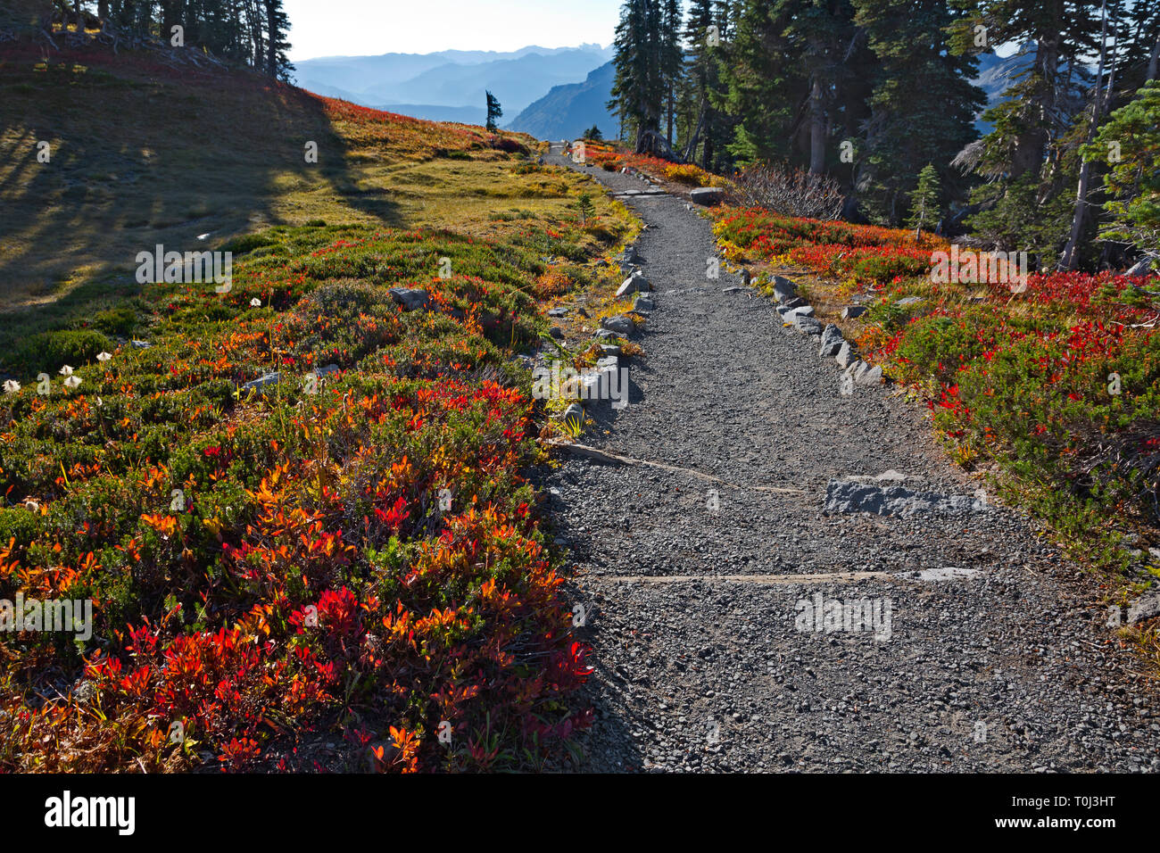 Huckleberry range hi-res stock photography and images - Alamy