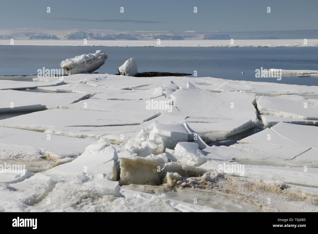 High Arctic landscape with sea ice and open water Stock Photo - Alamy
