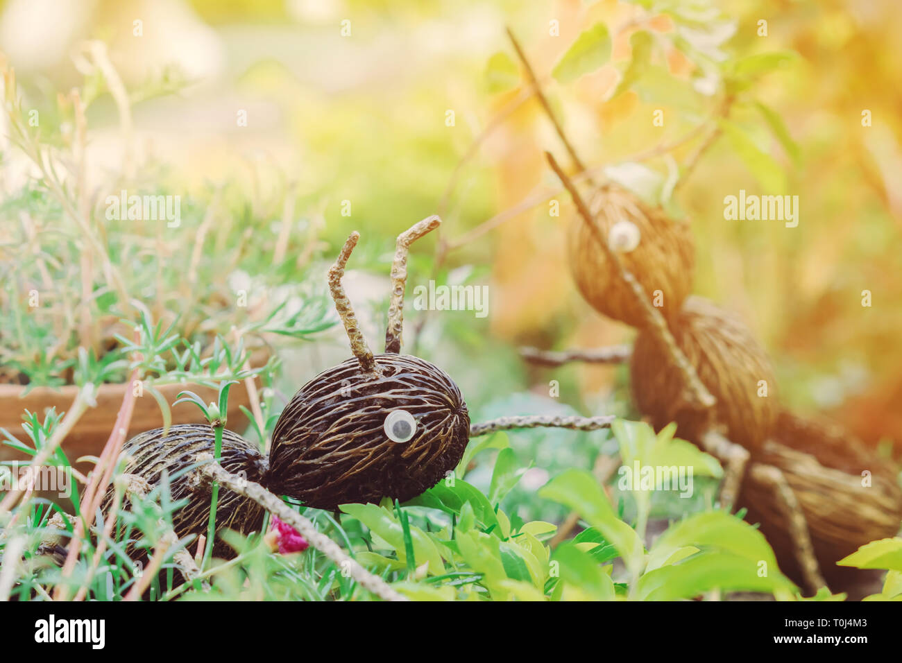 An artificial ant statue made from coconut, decorated on trees in the ...