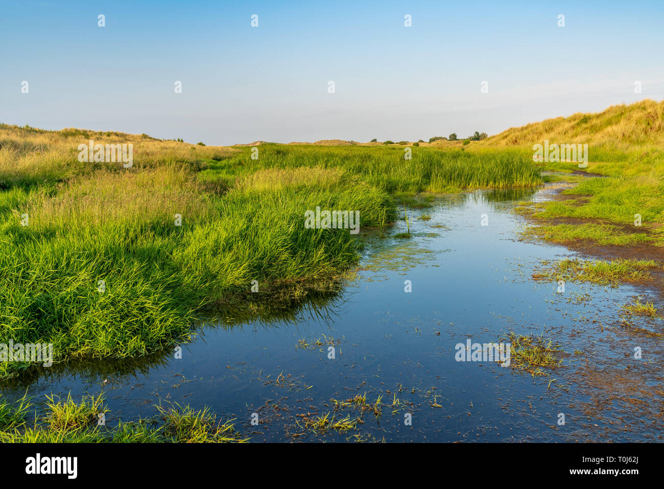 Landscape at the Gronant Dunes Nature Reserve, Denbighshire, Wales, UK ...