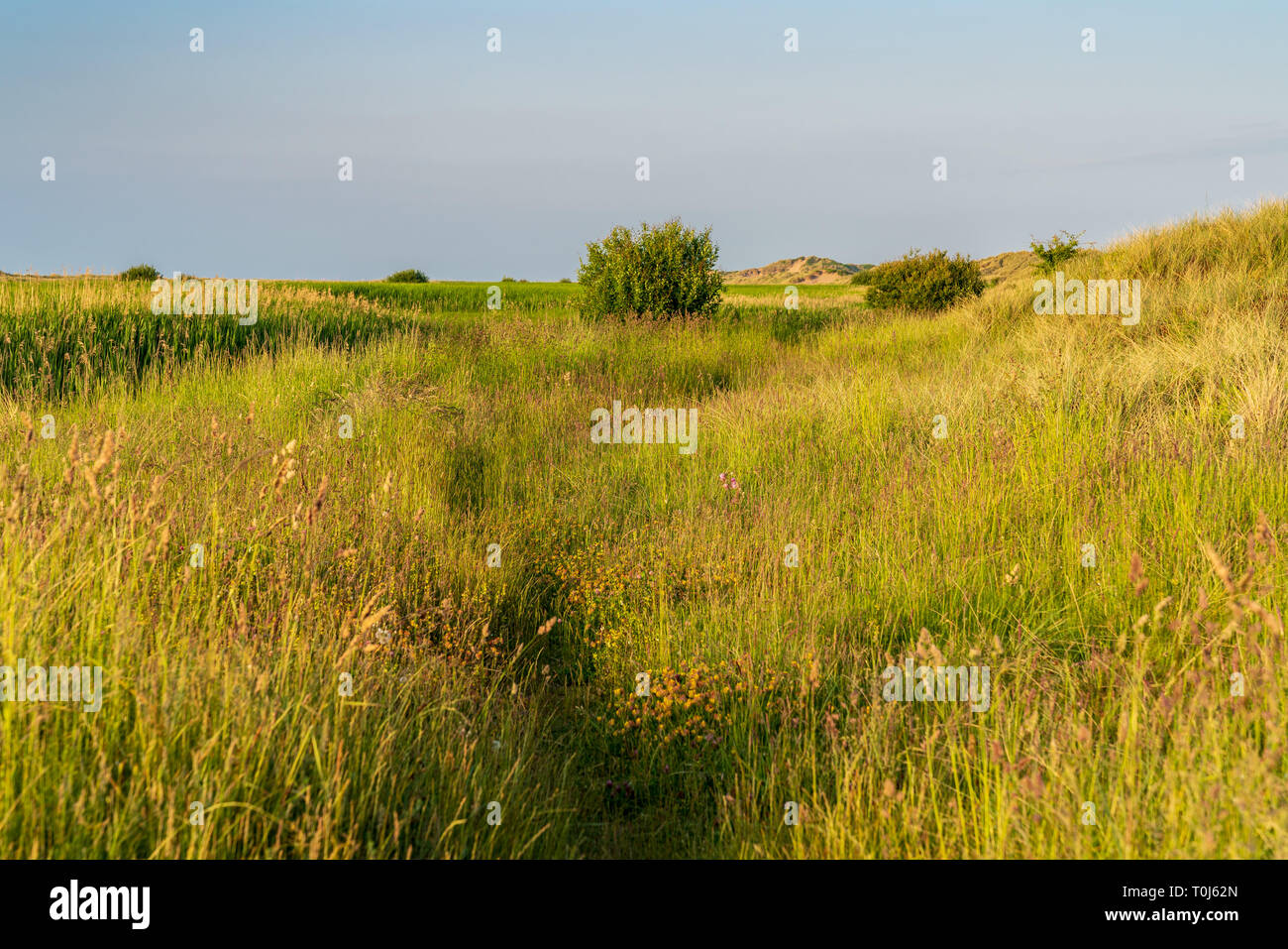 Landscape at the Gronant Dunes Nature Reserve, Denbighshire, Wales, UK ...