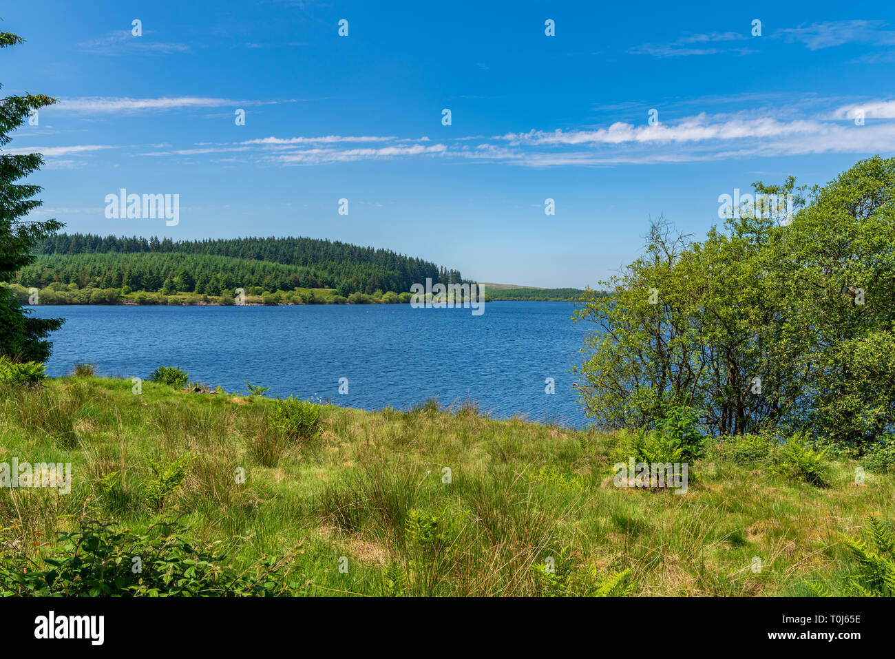 Alwen reservoir hi-res stock photography and images - Alamy