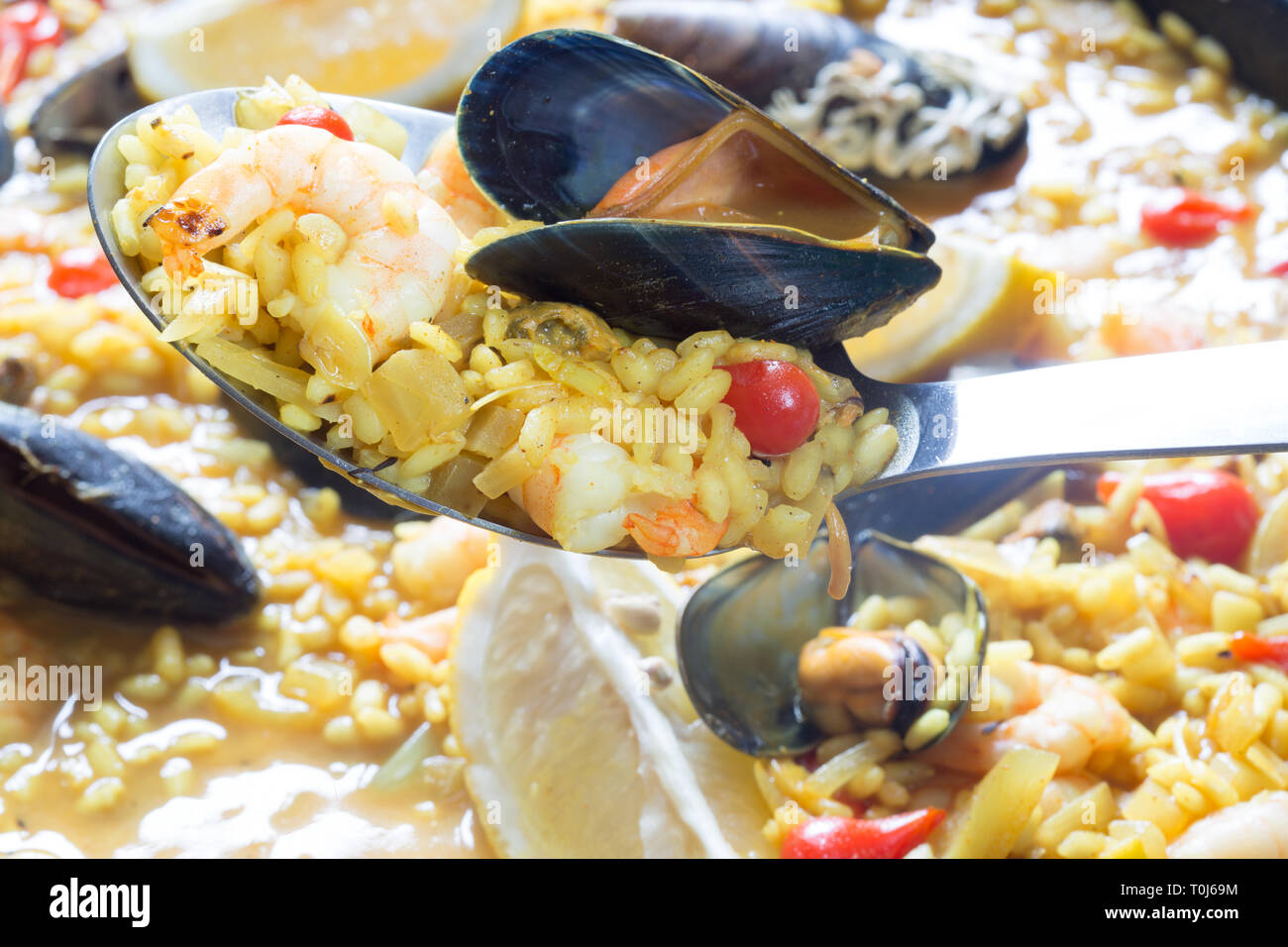 A traditional Spanish dish of Shellfish Paella Stock Photo - Alamy