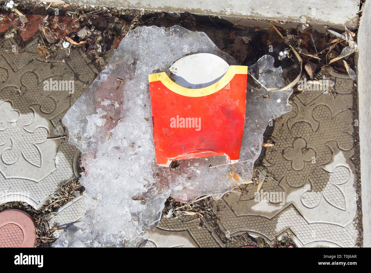 French fries. Fast food. French fries box. Junk food polution Stock ...