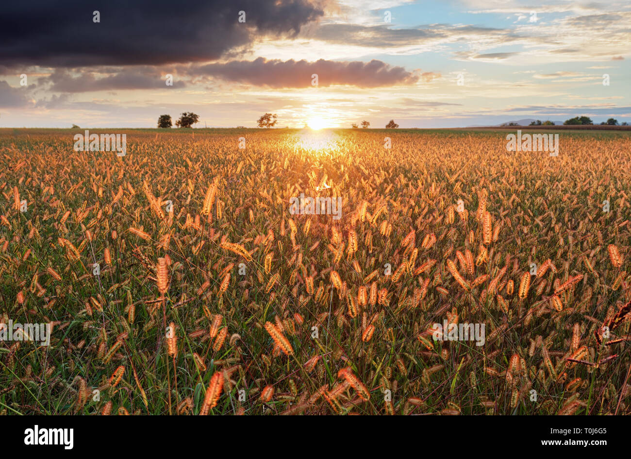 Rural scene sun hi-res stock photography and images - Alamy