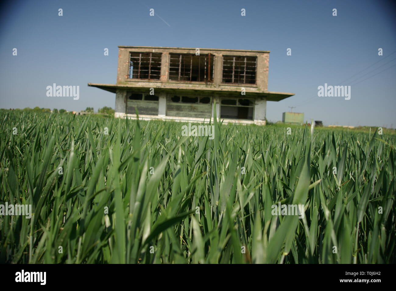 Pilot Ww2 Watch High Resolution Stock Photography and Images - Alamy