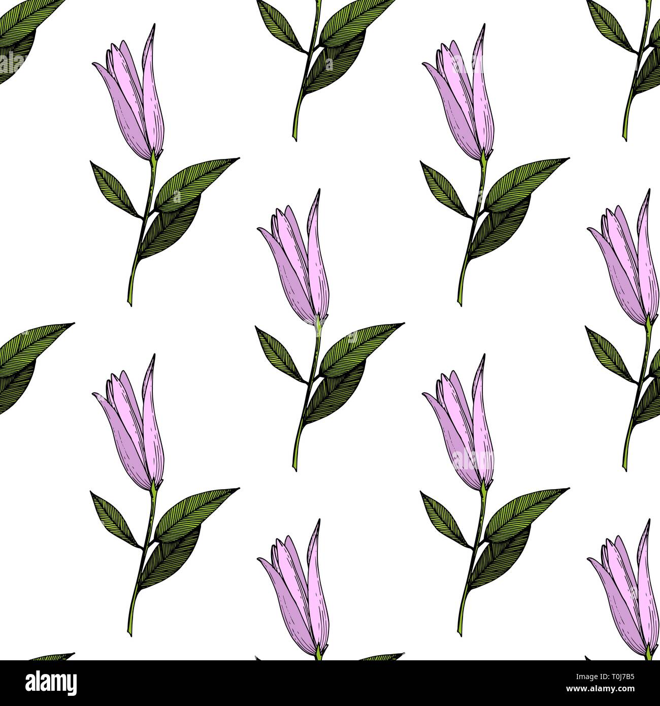 Vector Lily floral botanical flower. Engraved ink art. Seamless ...