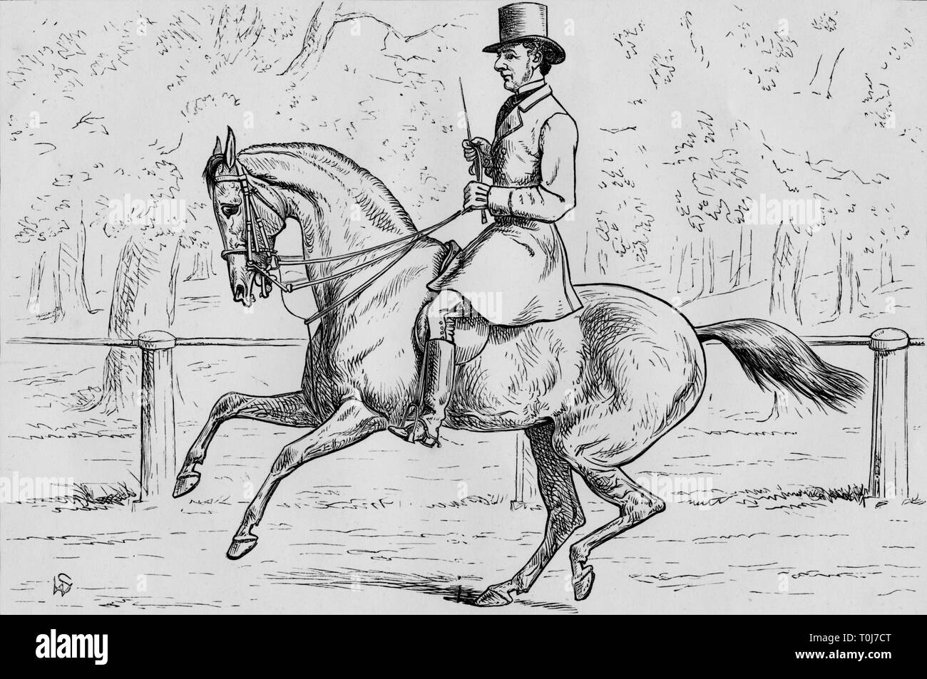 'A Morning Canter in the Park', 1881. Creator: Samuel Sidney Stock ...