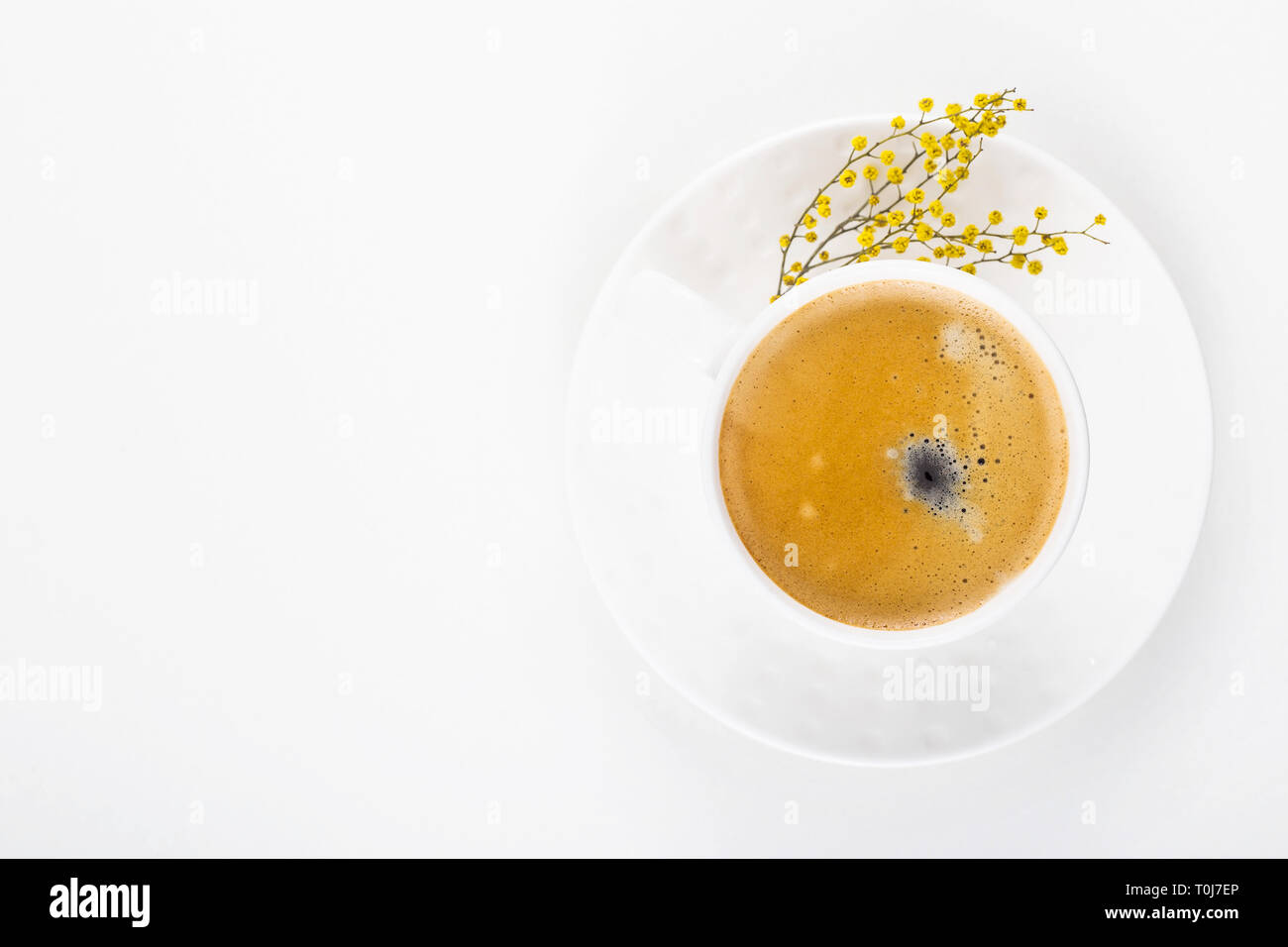 White cup of coffee on a white table with yellow mimosa flowers ...