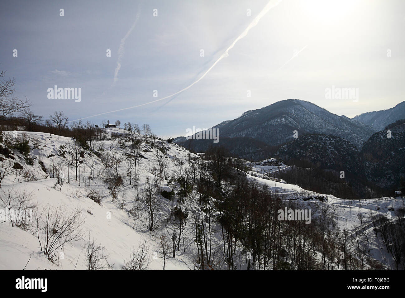 Under The Snow In A Winter Day Stock Photo - Alamy