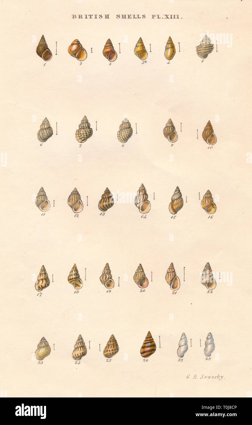 George brettingham hi-res stock photography and images - Alamy