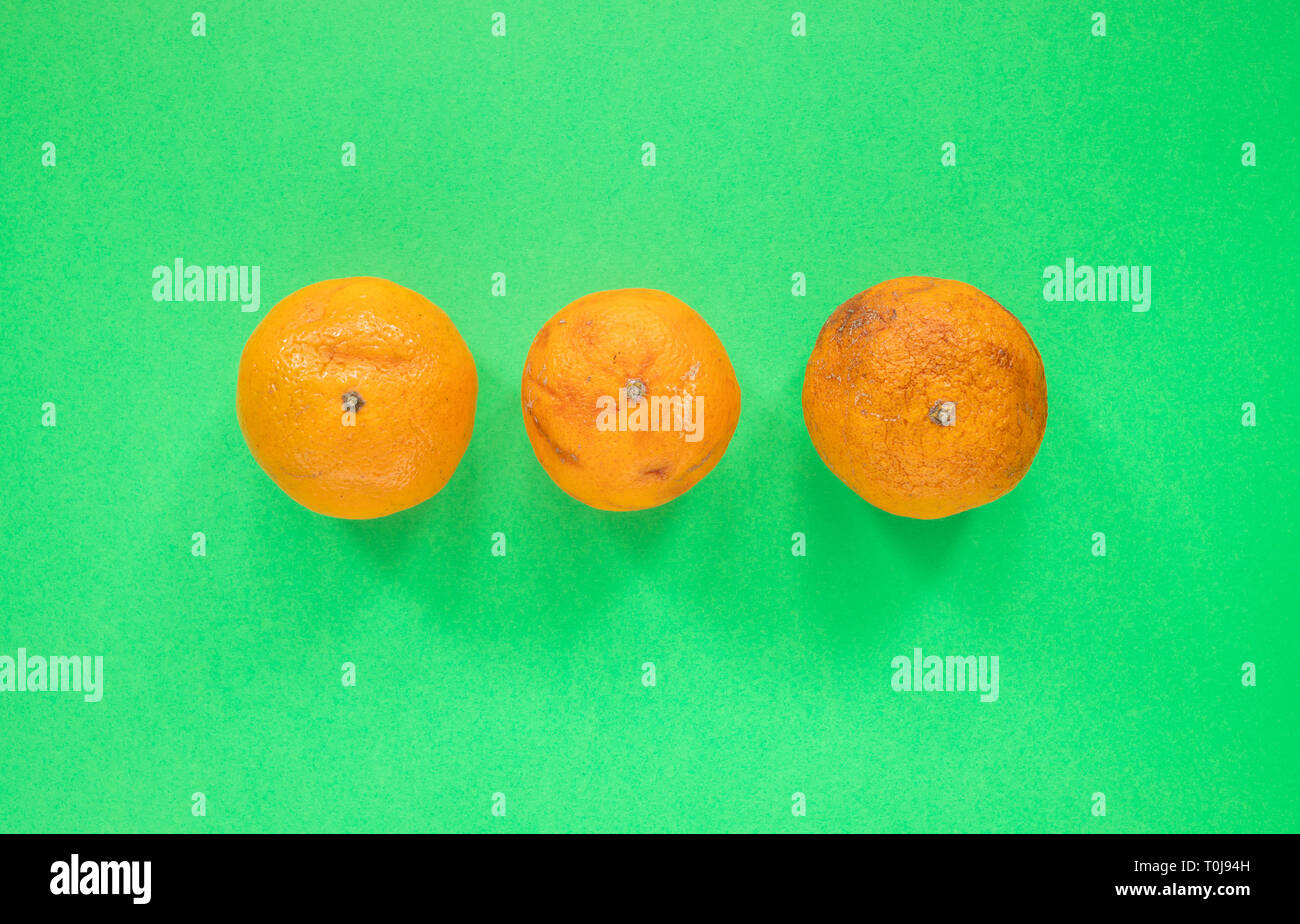 Three ugly non-standard mandarin lying in middle of green background ...