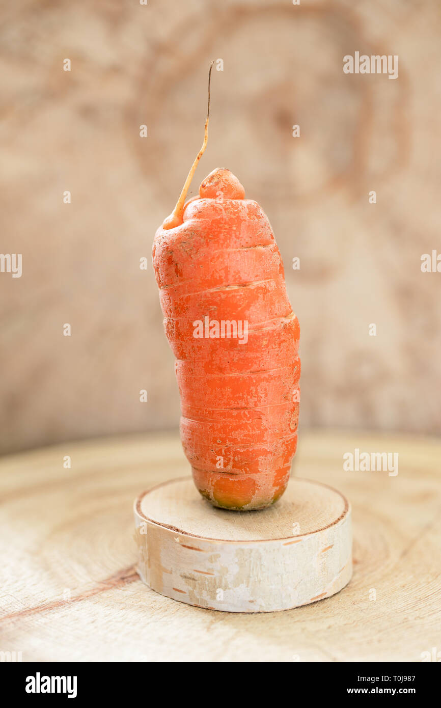 One small non-standard ugly carrot are standing on birch saw cut Stock ...