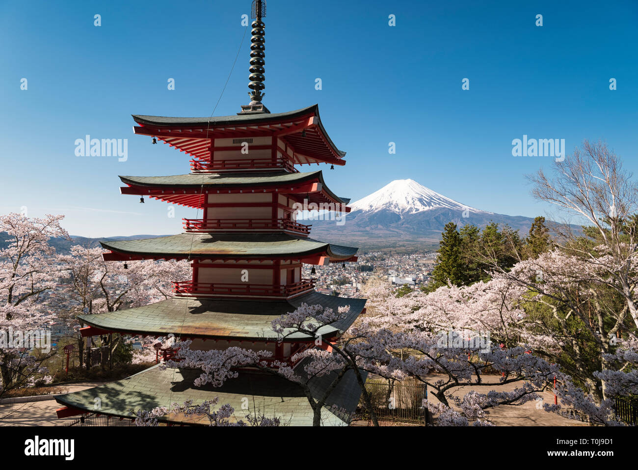 Fuji over cherry blossoms hi-res stock photography and images - Alamy