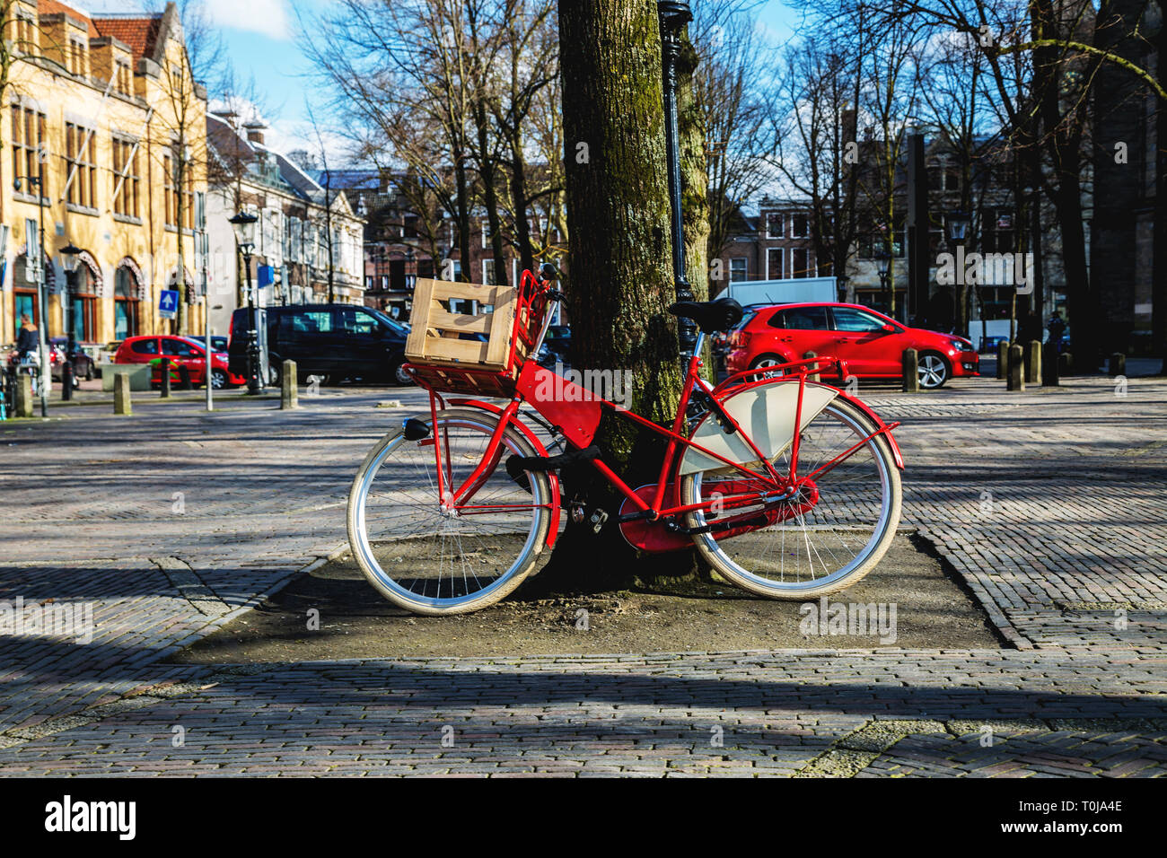 Red bicycle locked under a tree in front of red cars. Utrecht, Holland ...