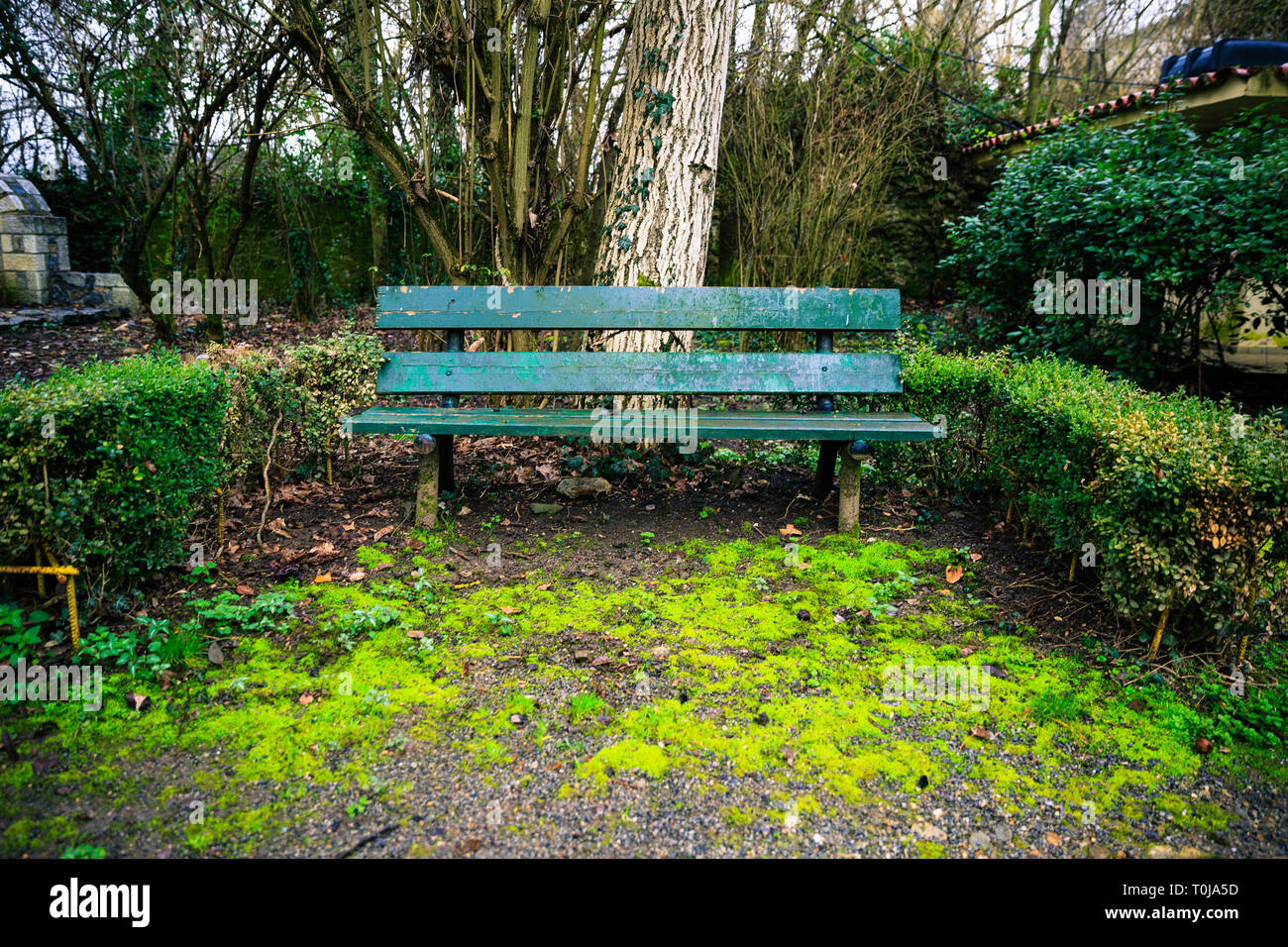 Green bench in park with green grass around Stock Photo - Alamy