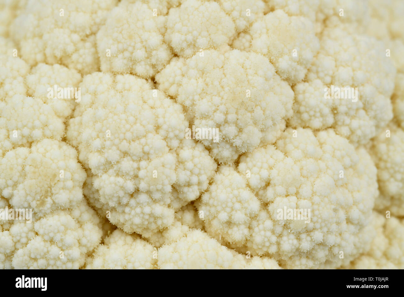 Kohl gemuse hi-res stock photography and images - Alamy