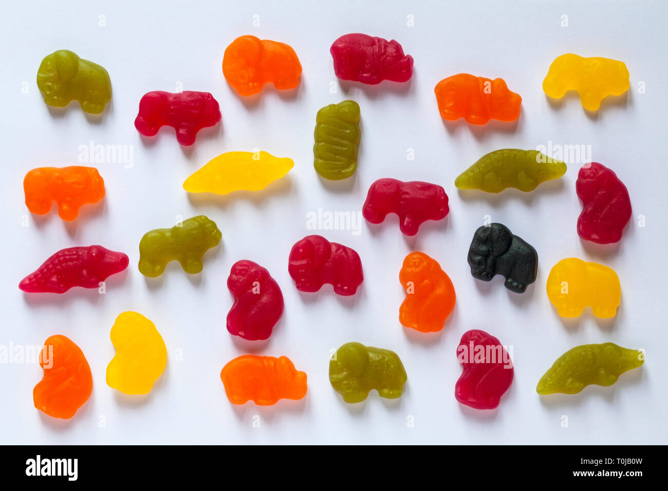 Maynards Bassetts soft jellies wild safari sweets spread out isolated ...