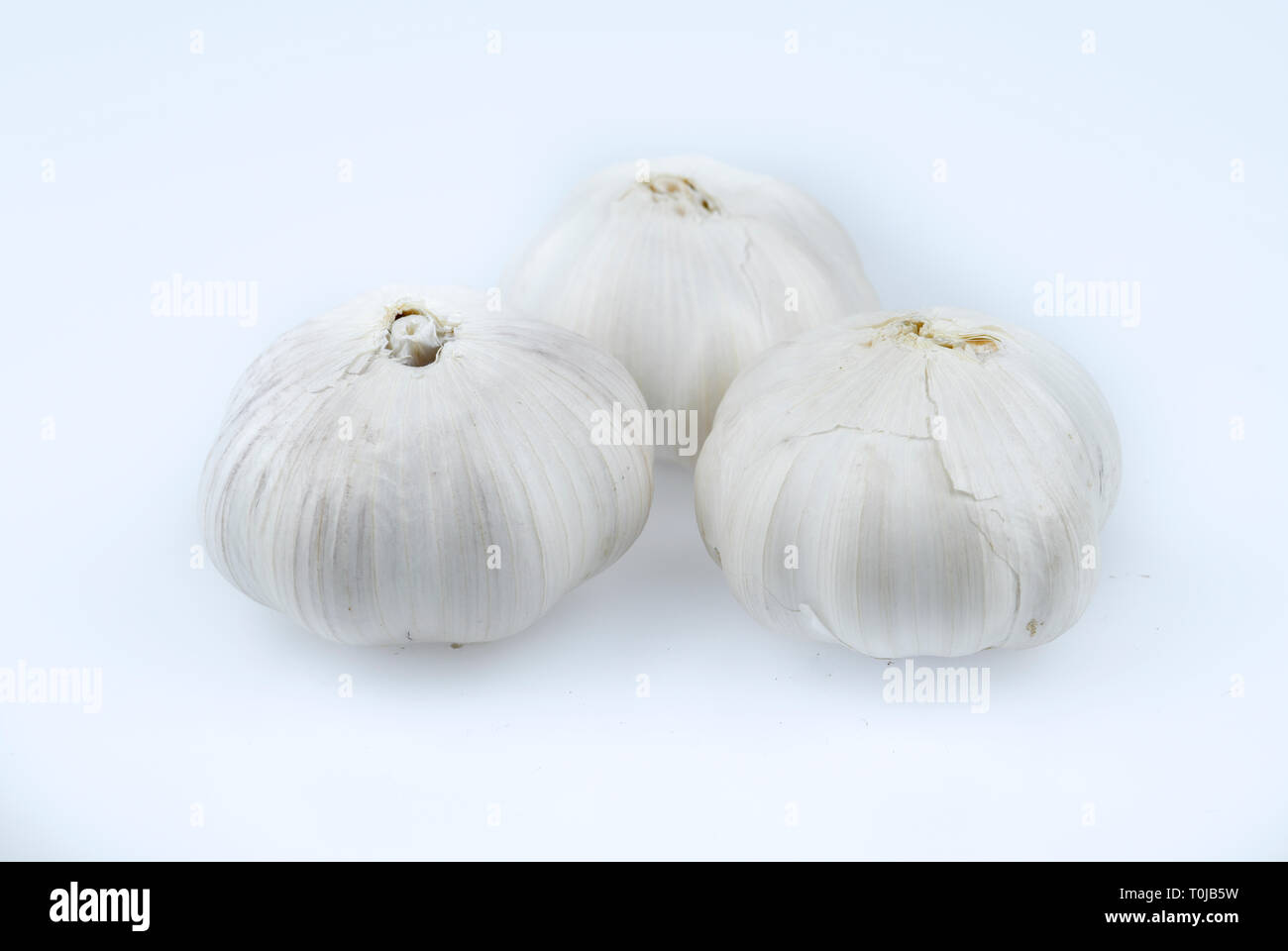 Garlic, studio admission, Knoblauch, Studioaufnahme Stock Photo - Alamy