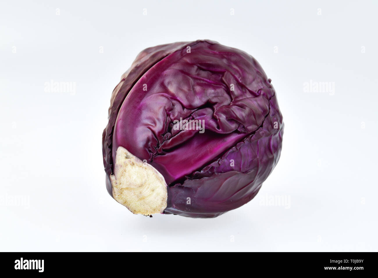 Red cabbage, studio admission, Rotkohl, Studioaufnahme Stock Photo - Alamy