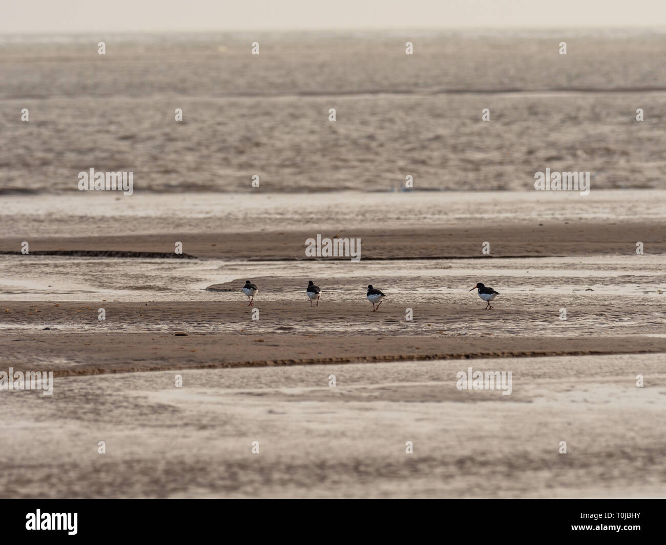 Black point landing hi-res stock photography and images - Alamy