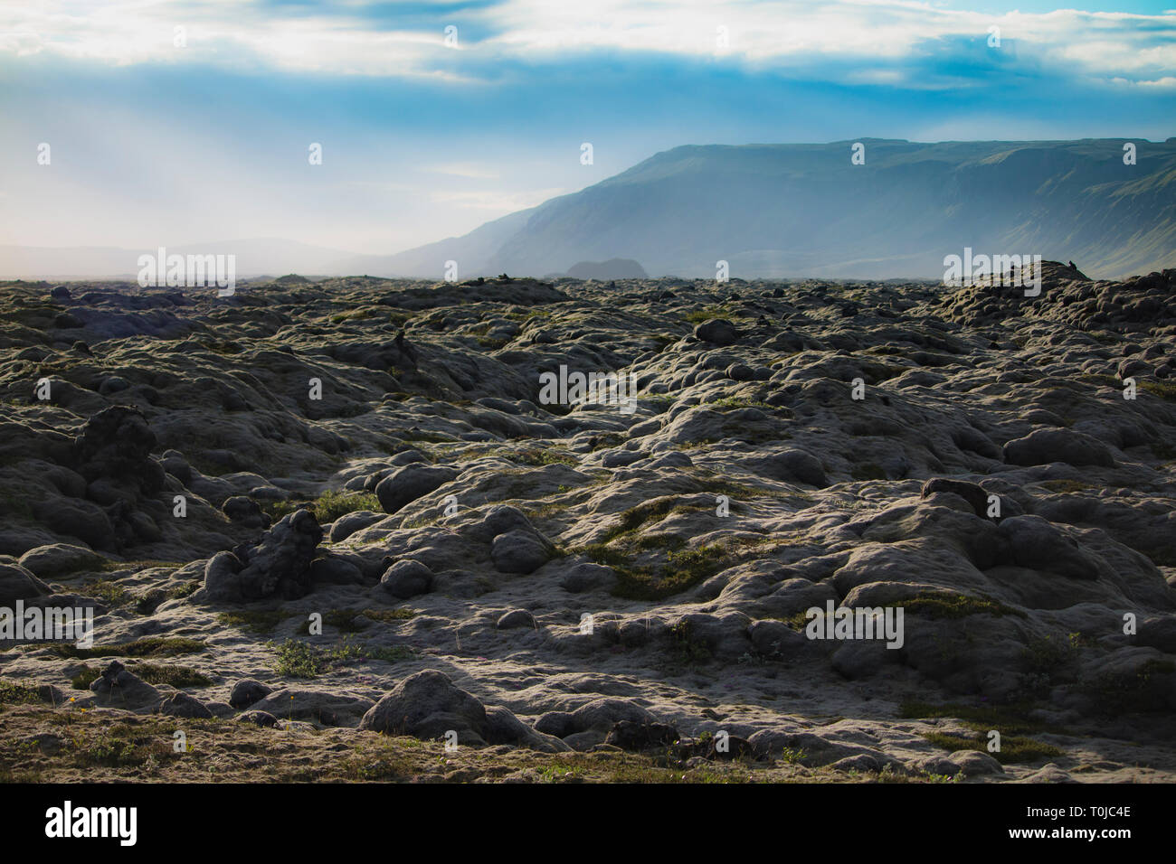 Beautiful volcanic mossy landscape in Iceland with mountain background ...