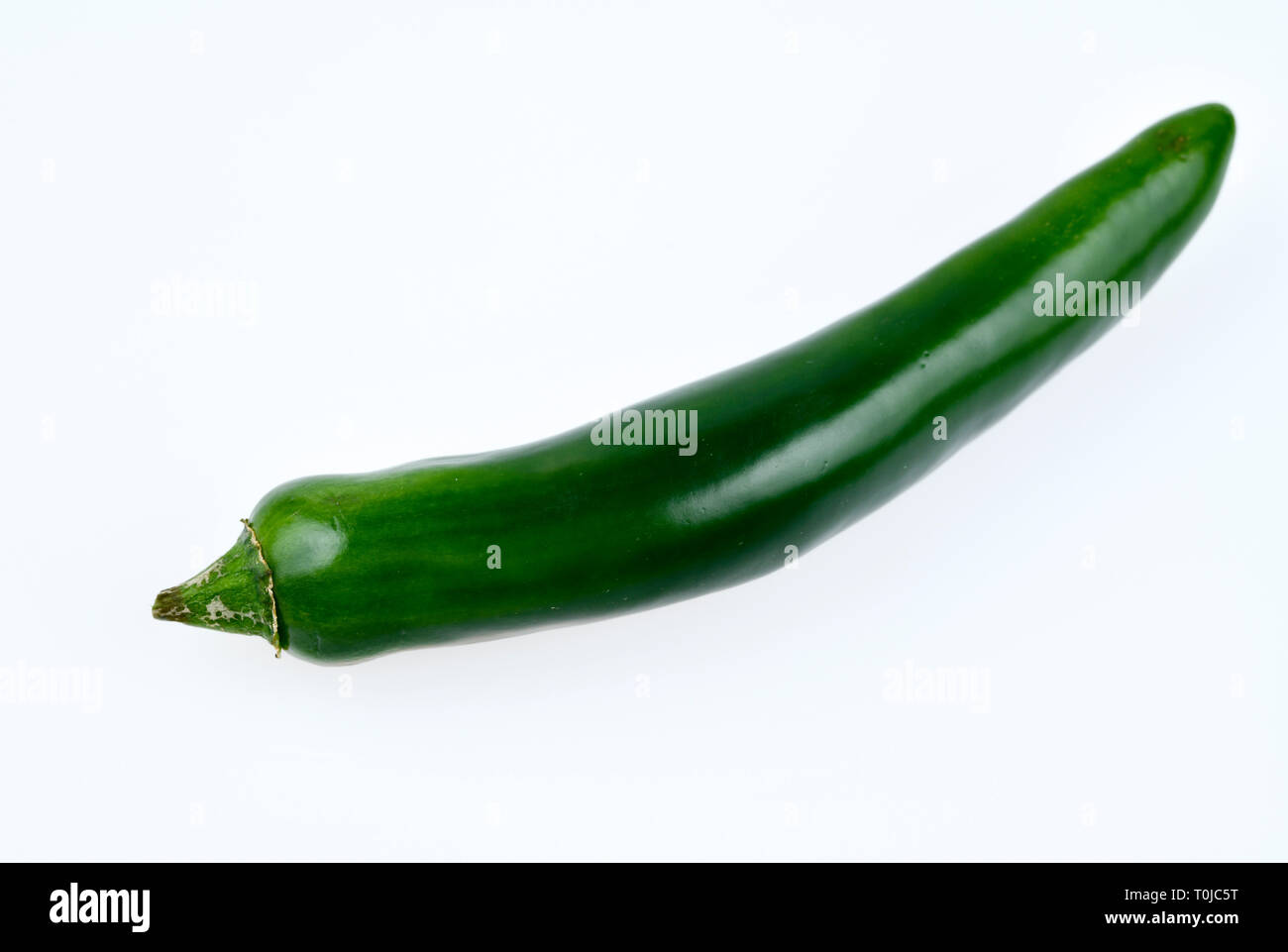 Green chilli pod, studio admission, Grüne Chilischote, Studioaufnahme ...