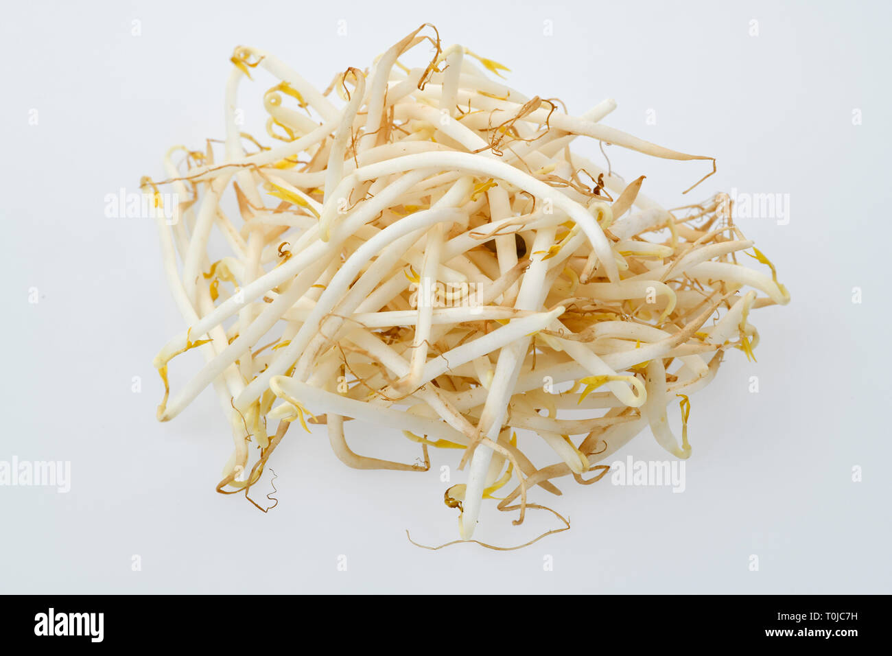 Soy bean shoots hi-res stock photography and images - Alamy
