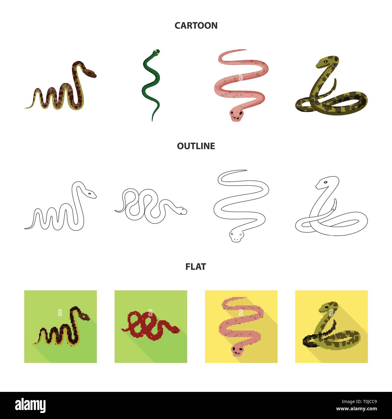 snake,python,wild,tail,jungle,tropics,spiral,animal,large,forest ...