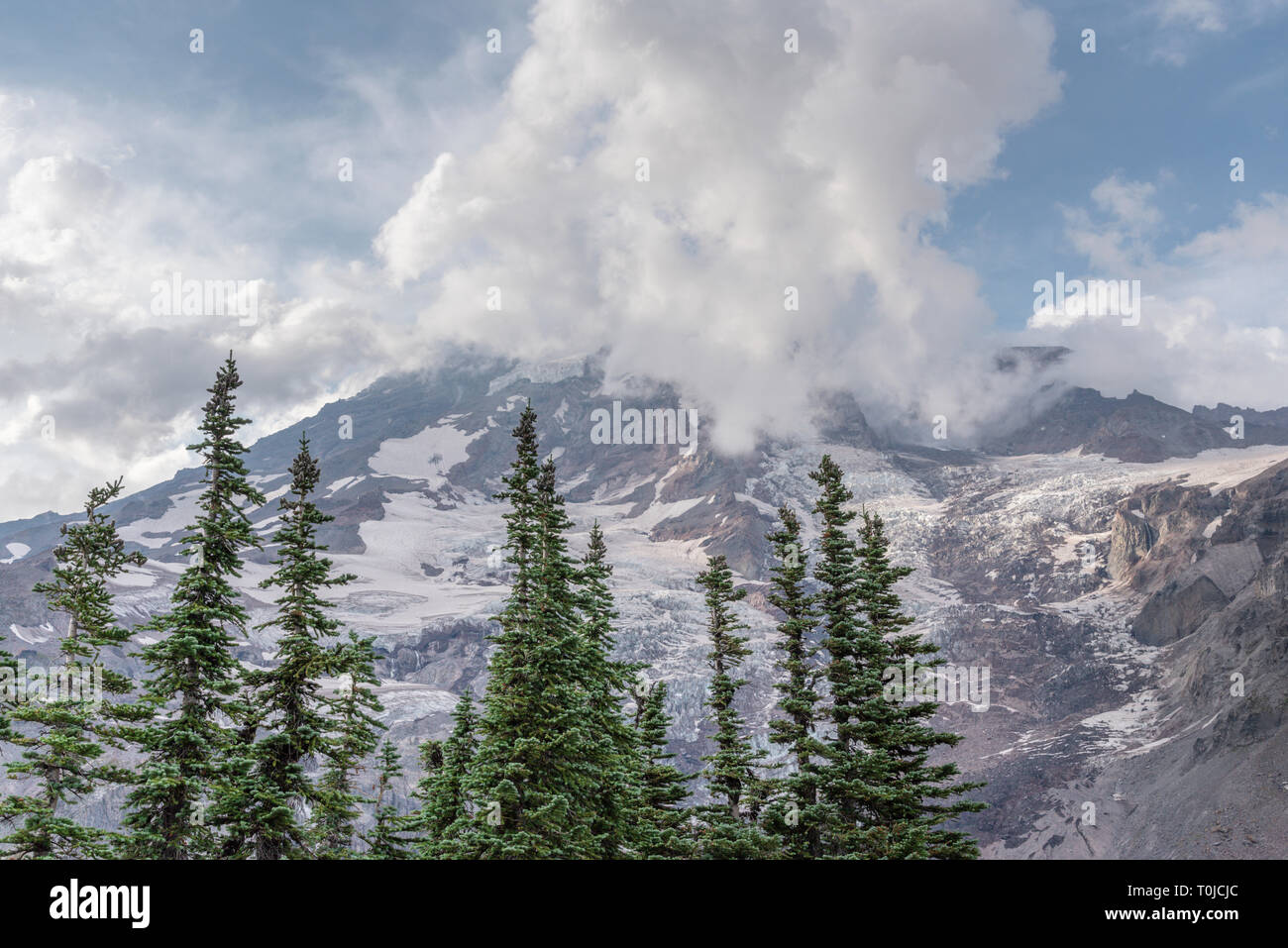 Mount Rainier obscured by beautiful cloud formations with evergreen ...