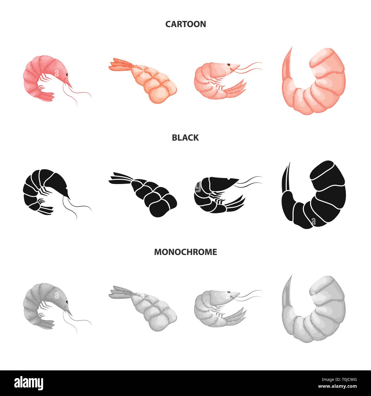 prawn,creature,boiled,fresh,restaurant,raw,cooked,aquatic,luxury ...