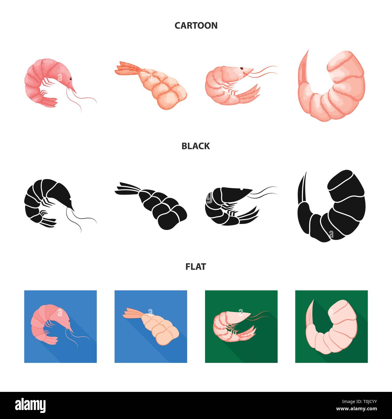 prawn,creature,boiled,fresh,restaurant,raw,cooked,aquatic,luxury ...