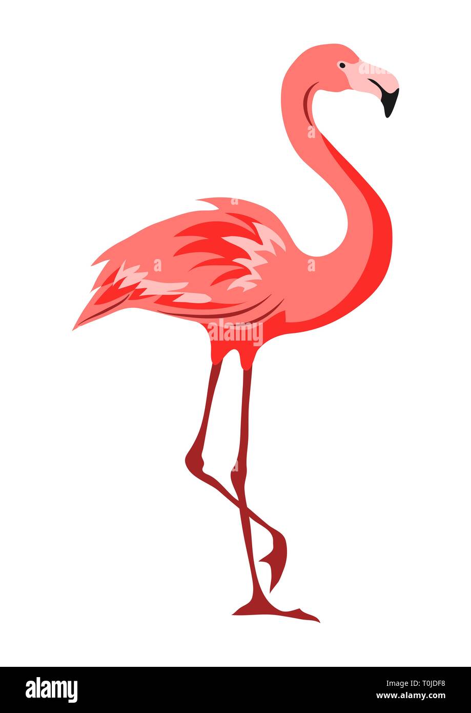 Wild tropical beach foot Cut Out Stock Images & Pictures - Alamy