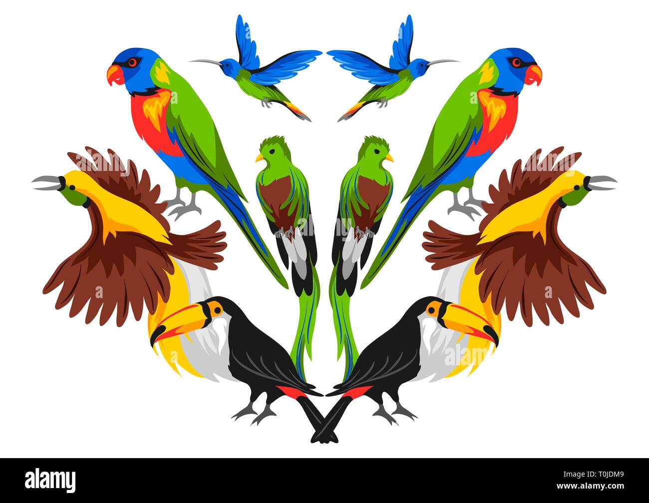 Print design with tropical exotic birds Stock Vector Image & Art - Alamy