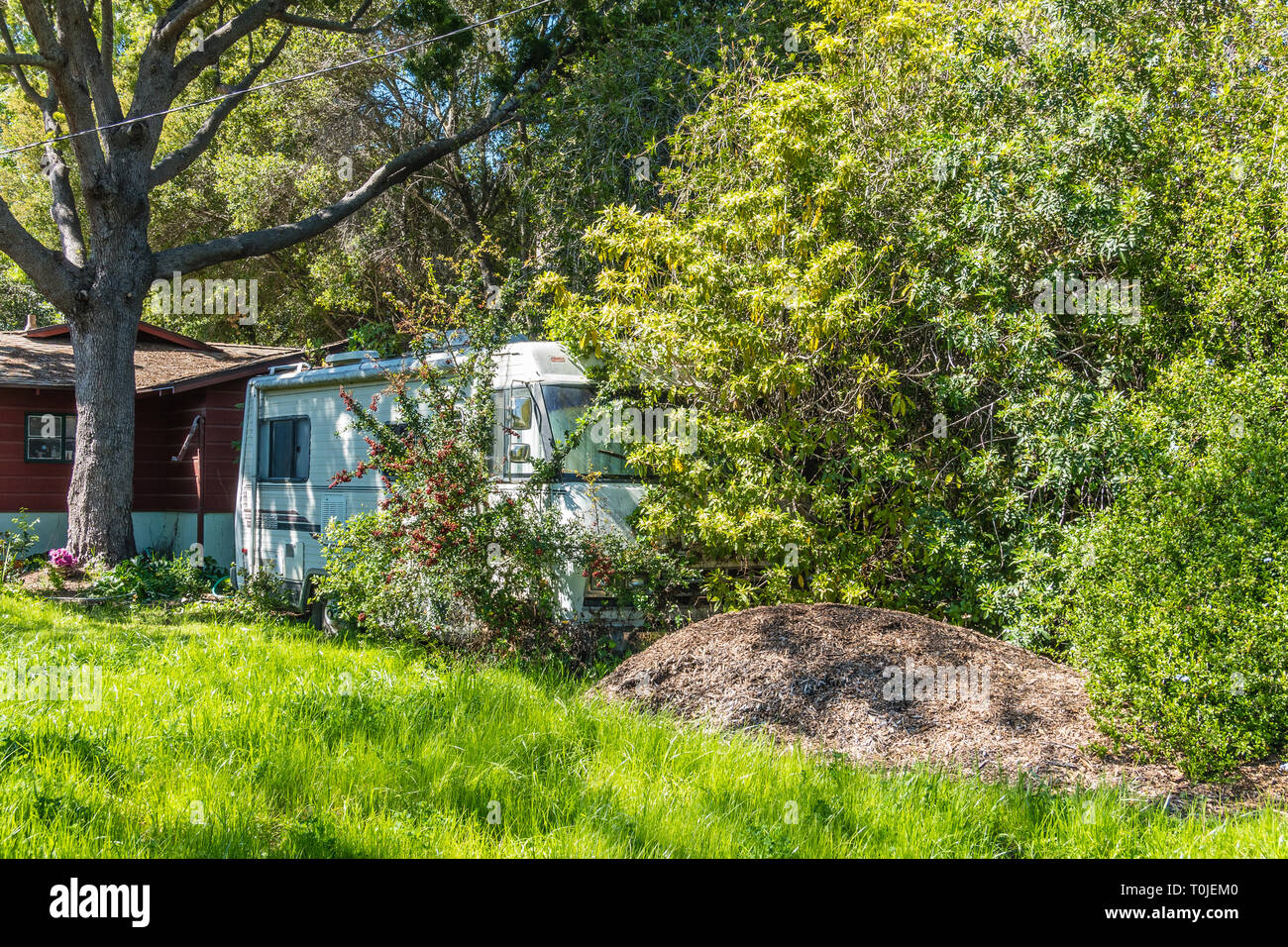 A recreational vehicle (RV) is overgrown by bushes due to its neglect ...