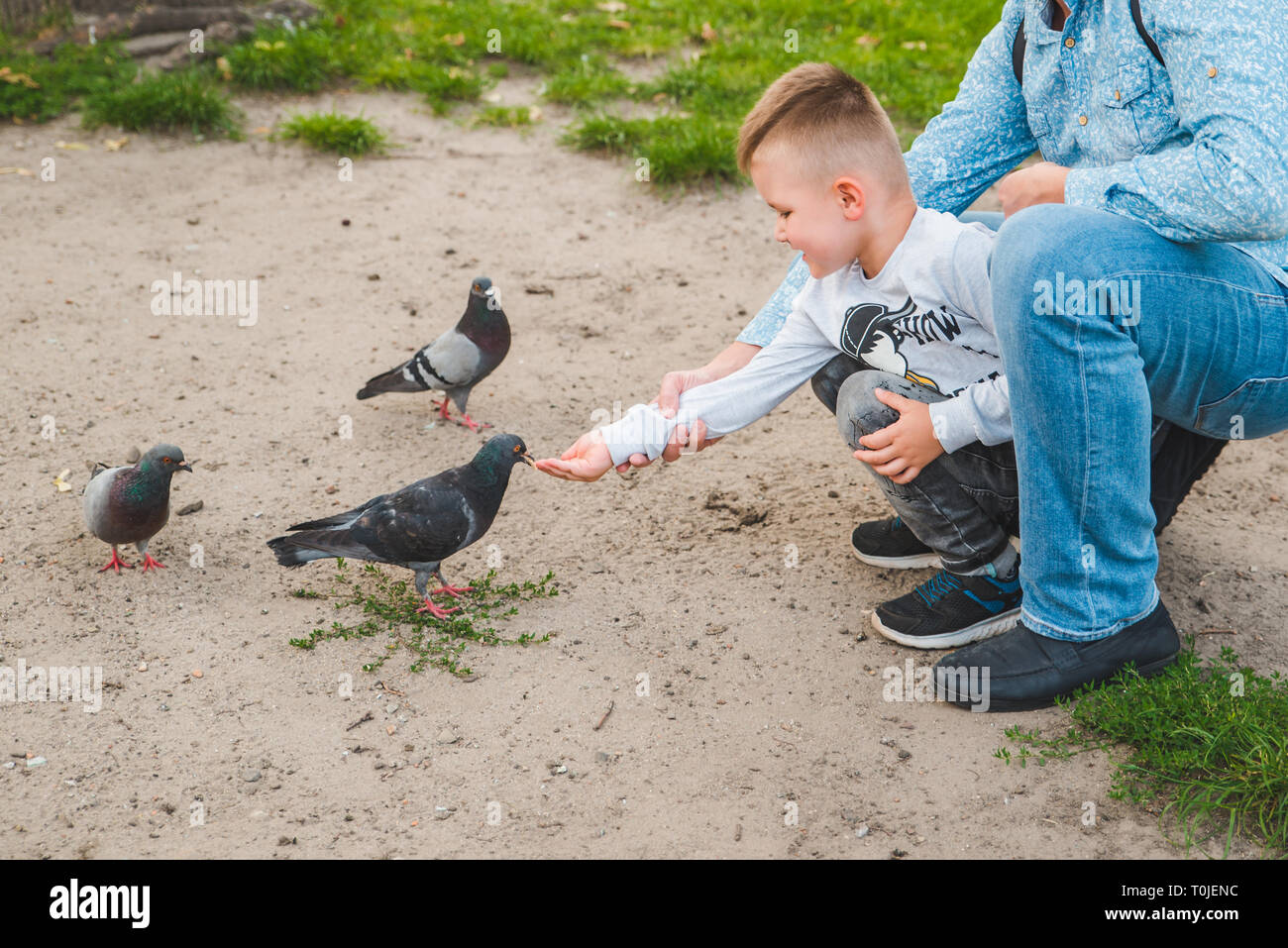 father with son feeding doves. family time Stock Photo - Alamy
