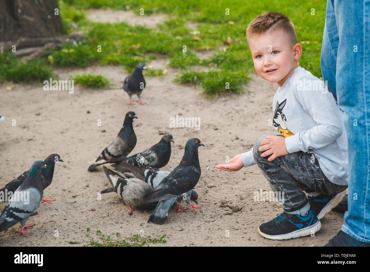 little kid feeding doves in park. curiosity boy Stock Photo - Alamy