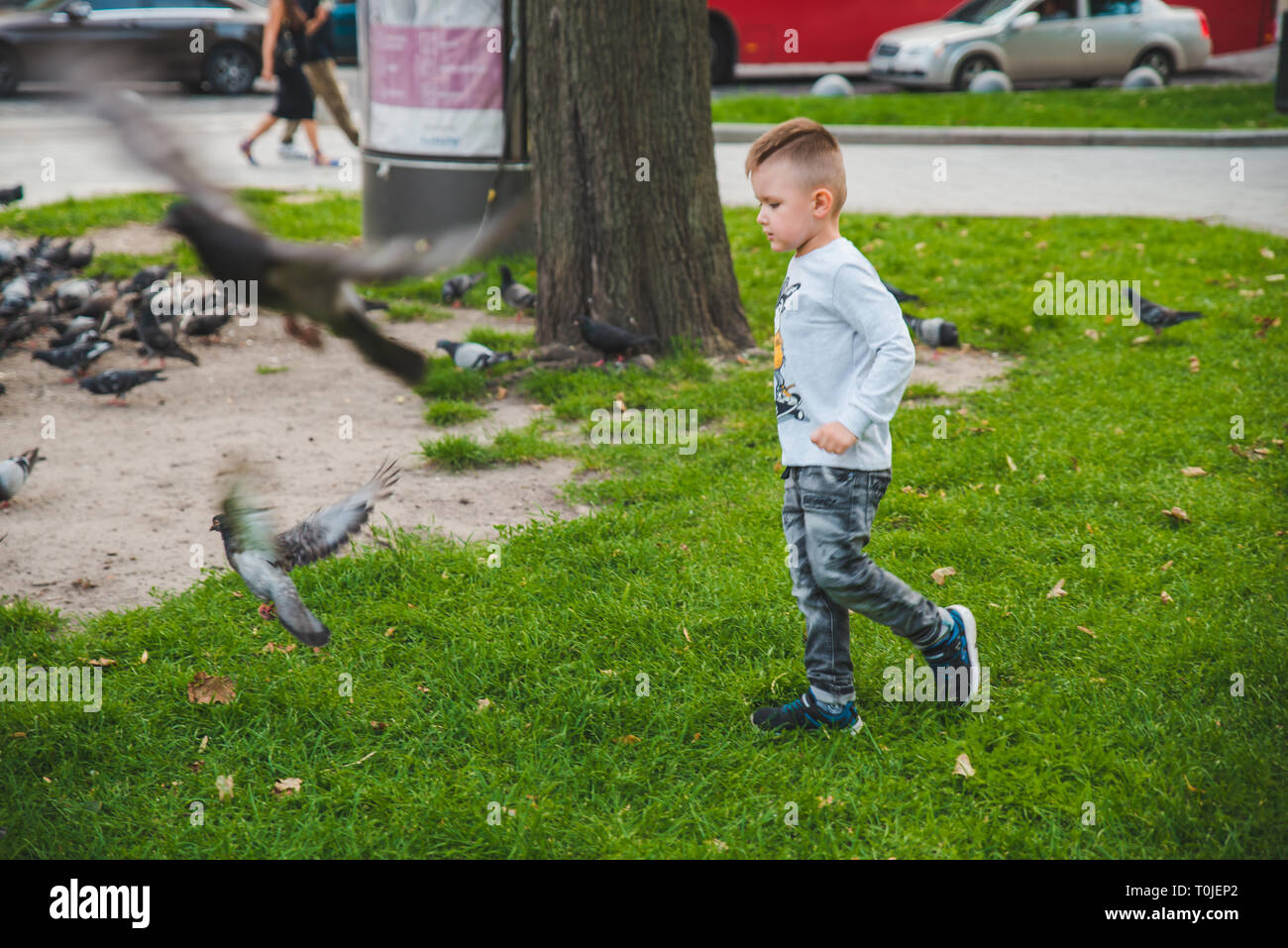 little kid feeding doves in park. curiosity boy Stock Photo - Alamy
