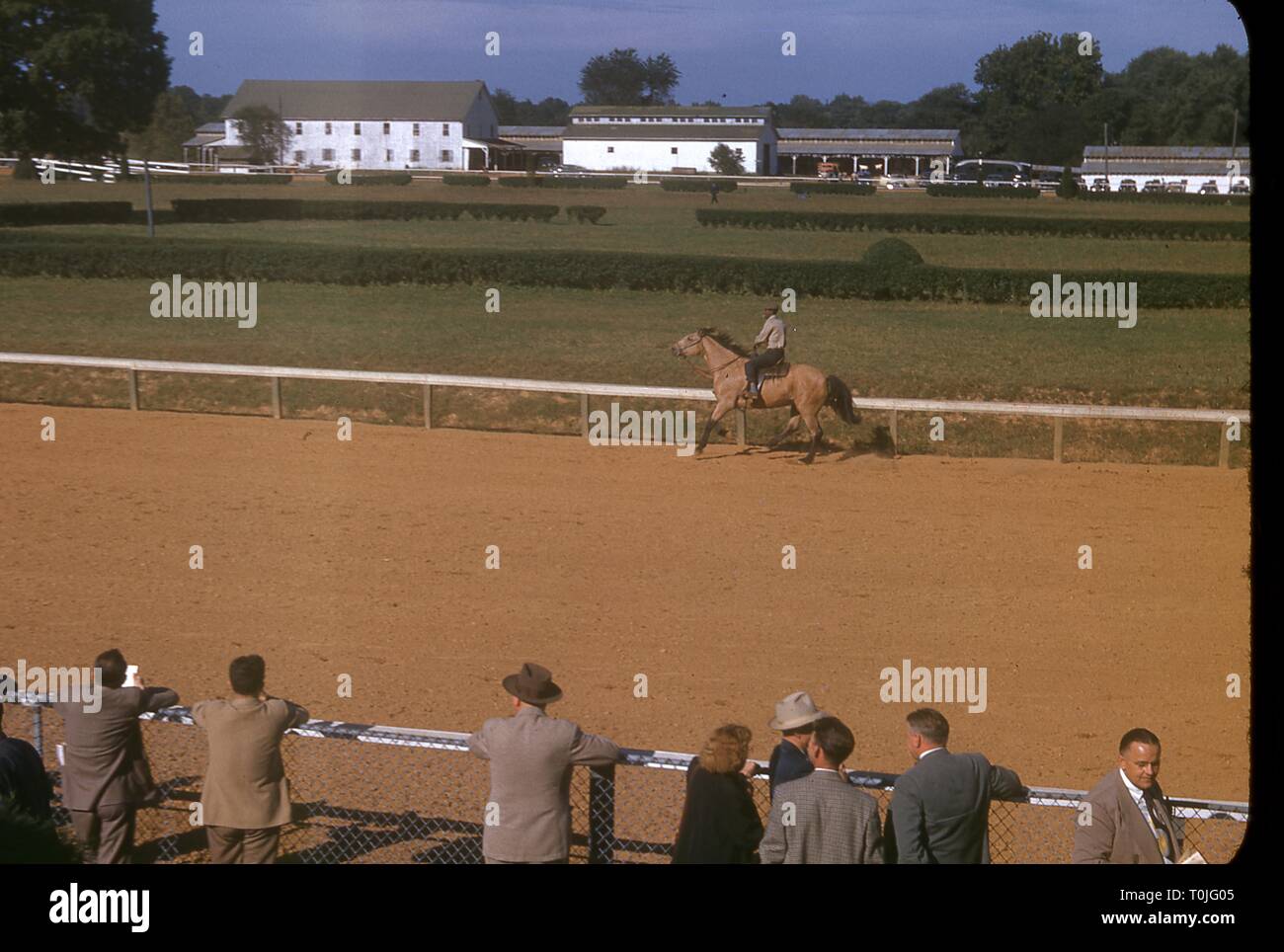 Horse infield hi-res stock photography and images - Alamy